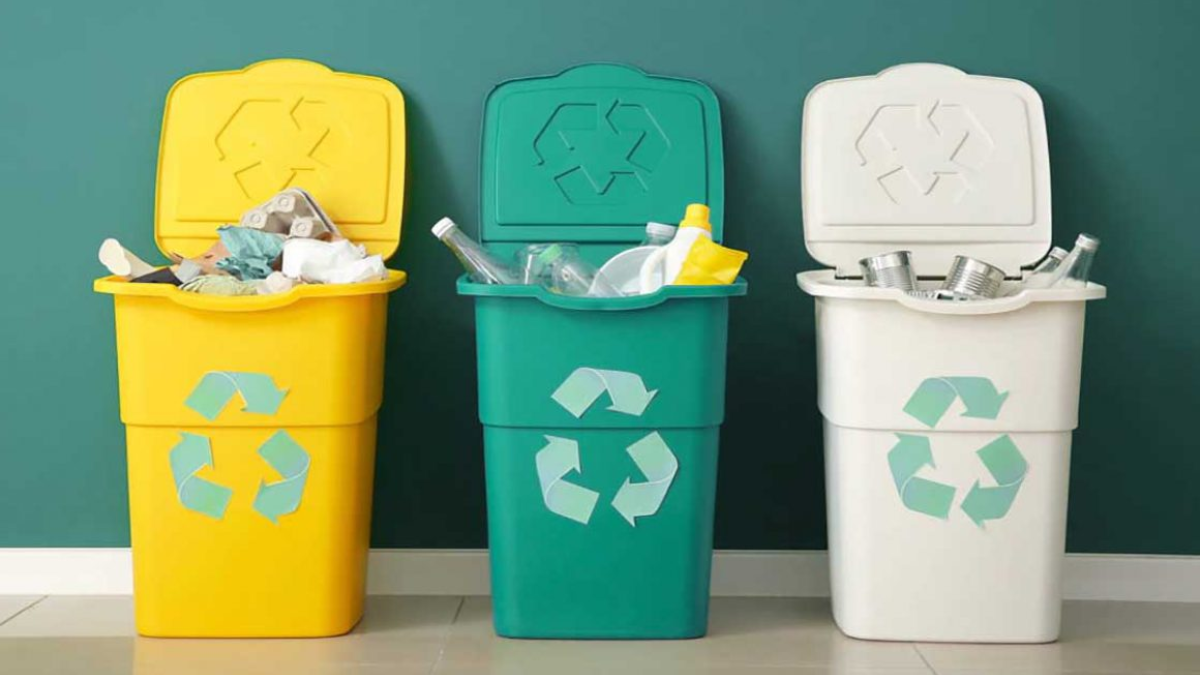 10 formas de cuidar el medio ambiente en casa